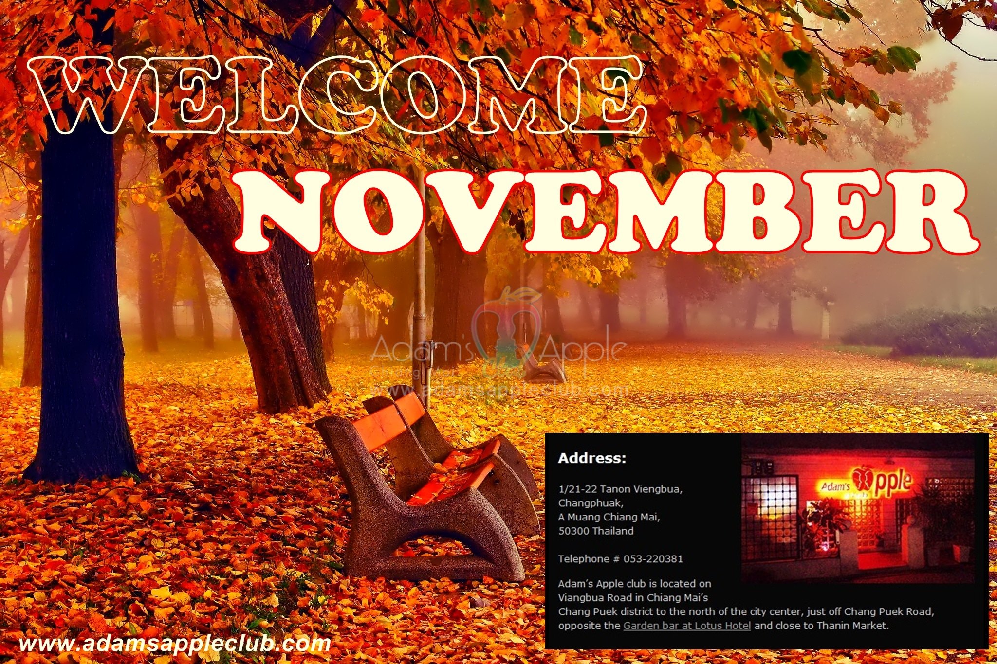 WELCOME NOVEMBER! Keep smiling and enjoy YOUR gay life