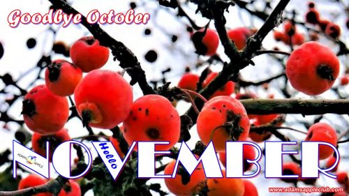 NOVEMBER 2018 - Goodbye OCTOBER Adams Apple Club