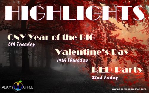 Highlights in February 2019 Adams Apple Club Chiang Mai