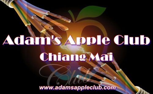 POWER You need new energy, want to recharge your batteries