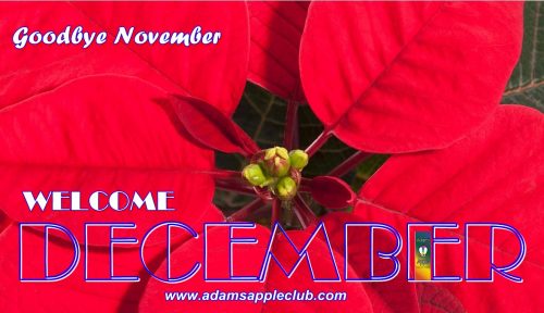 Goodbye NOVEMBER WELCOME DECEMBER 2019!