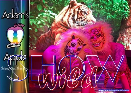 HOT and WILD SHOWS unique Adams Apple Gay Club