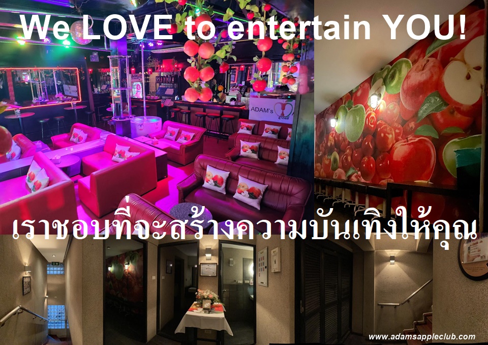 Gay Nightclub Chiang Mai Adam's Apple Club