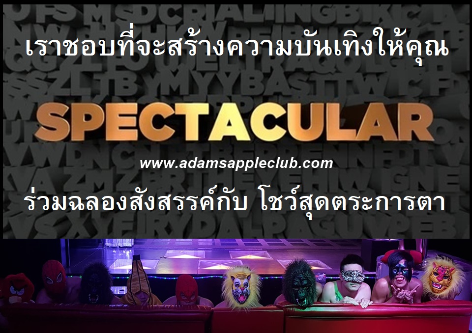 Spectacular Shows Chiang Mai Celebrate with us