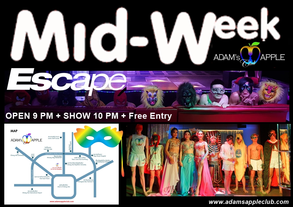 The Mid-Week Escape - Make your Thursday legendary at Adam's